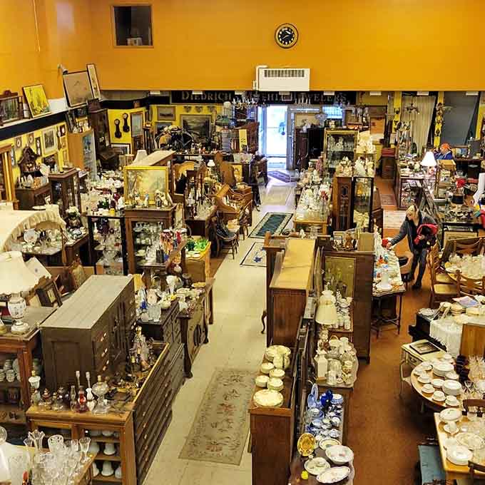 Elaine's antique shop interior looks like your grandmother's attic if she'd been a serious collector with impeccable taste.