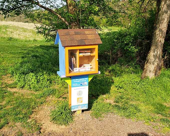 A cheerful little library stands ready to share knowledge, because even nature walks can include a good plot twist.