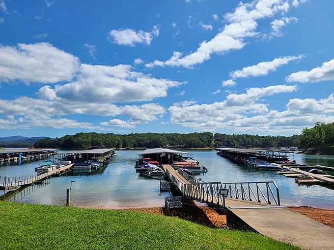 Lake Blue Ridge Marina where the boats outnumber the stress levels and the water reflects mountains like nature's showing off again.