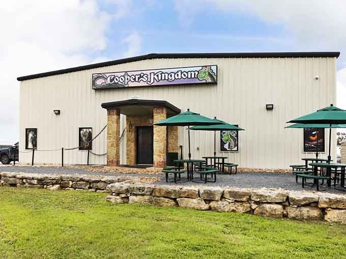 Cooper's Kingdom brings family entertainment to the Hill Country, because even small towns deserve big fun and adventure.