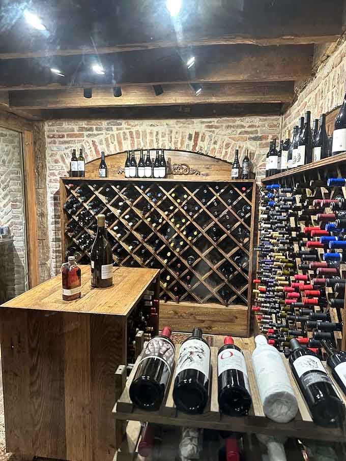 This wine cellar holds more bottles than most people's entire beverage collections, organized like a library for grape enthusiasts.