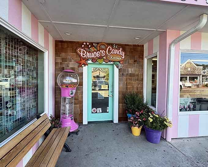 The pink gumball machine standing guard like a cheerful sentinel welcoming you to sweetness central.