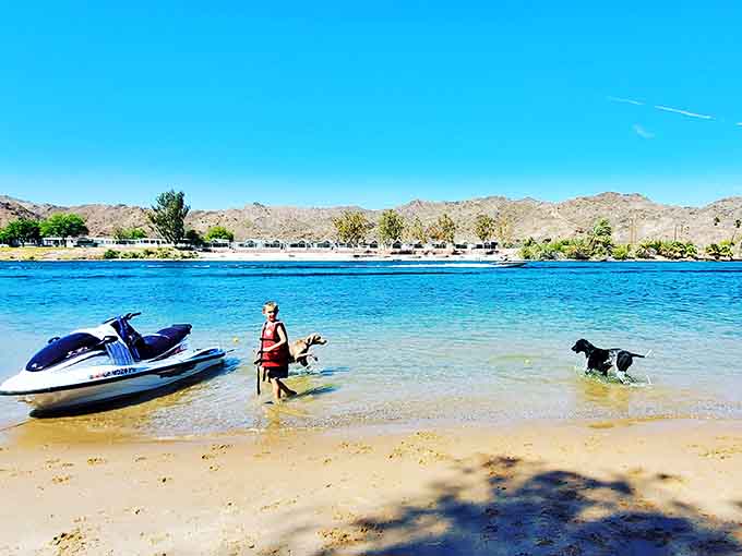 Even the family dog knows this beach is special, splashing in water so blue it rivals the Caribbean, minus the passport requirement.