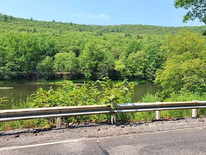 Pull over here and suddenly you understand why people write poetry about places they can't leave behind.