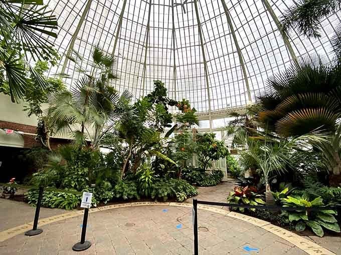 Step inside this Victorian glass dome and suddenly you're transported to a tropical paradise, minus the airfare.