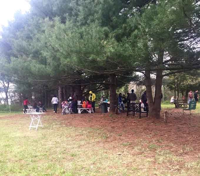 Shaded picnic areas under towering pines offer the perfect spot to rest after wandering through acres of floral paradise.