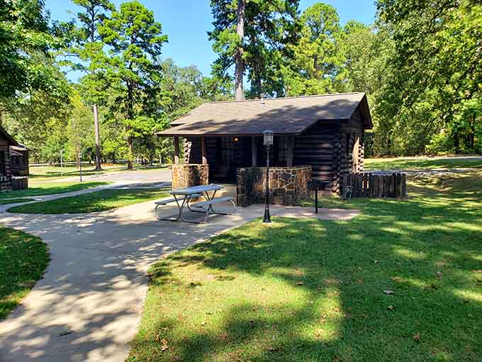 Rustic cabins offer cozy retreats after long days of exploring, proving roughing it doesn't mean suffering.