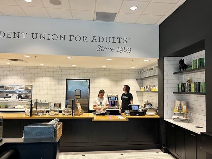 The counter gleams with promise, displaying "A Student Union For Adults" because grown-ups deserve their own special gathering place.