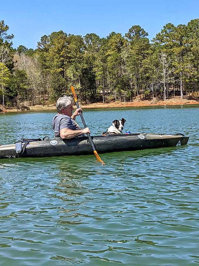 Even the dogs get it: kayaking here beats another lap around the neighborhood by approximately one million percent.