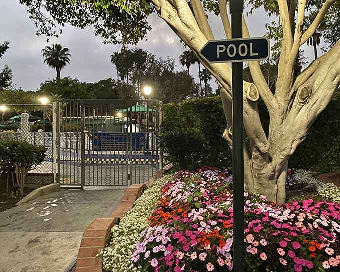 Even the pool area gets landscaped like a resort, because why not camp in style?