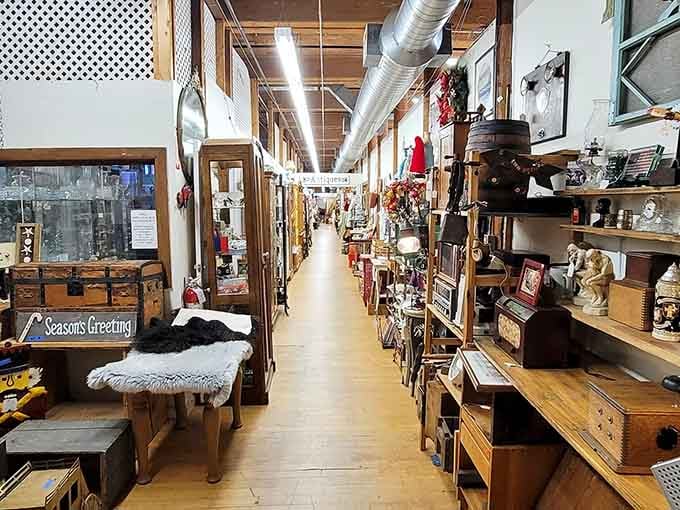 The organization here strikes that perfect balance between curated museum and your cool aunt's incredibly well-maintained attic full of treasures.