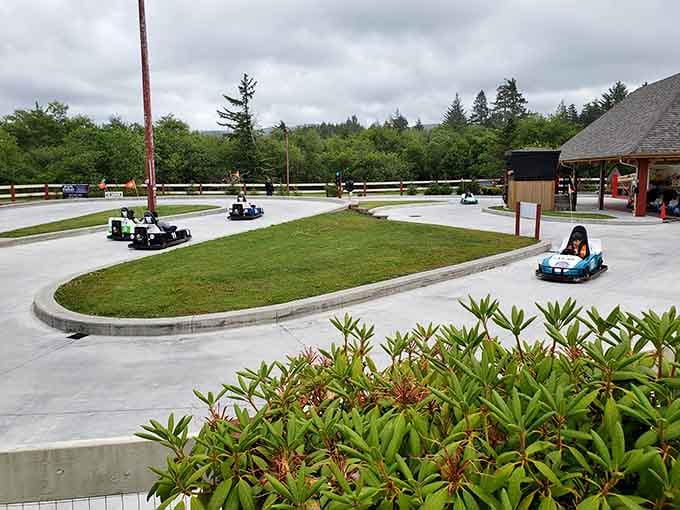 Go-karts zoom around the track while landscaping adds unexpected beauty to this family racing experience.