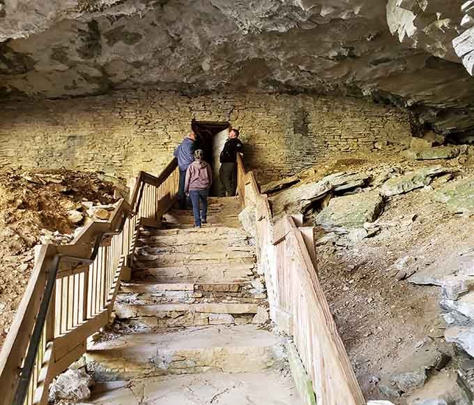 These wooden stairs lead down into the earth like an invitation you can't possibly refuse, even politely.