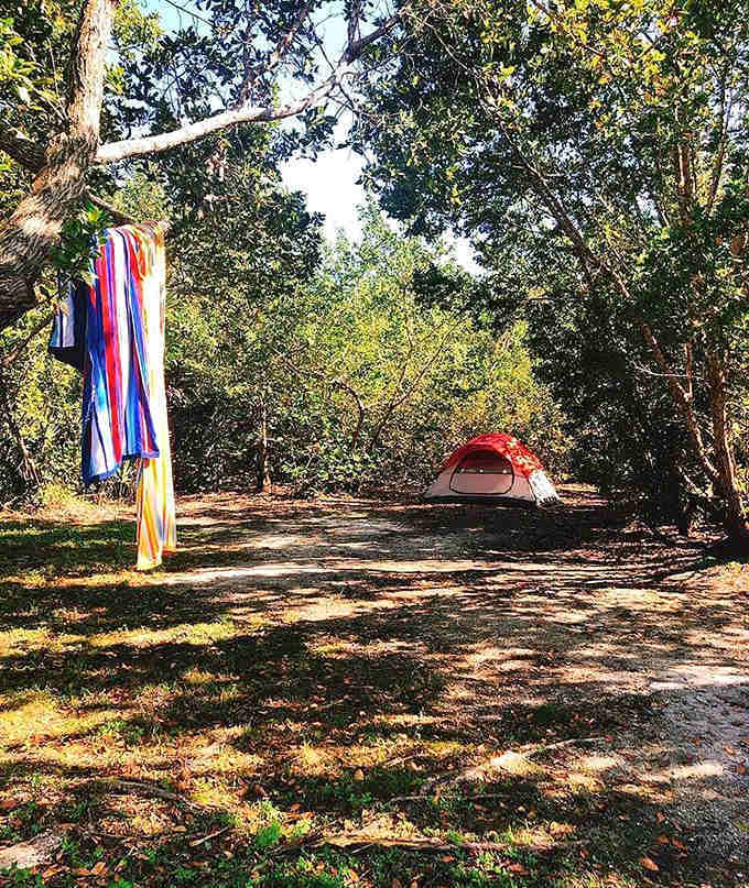 Camping under the stars here beats any five-star hotel for pure, unfiltered connection with nature's beauty.