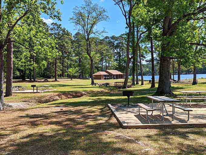 Picnic tables under towering pines by the lake: nature's dining room beats any fancy restaurant patio.