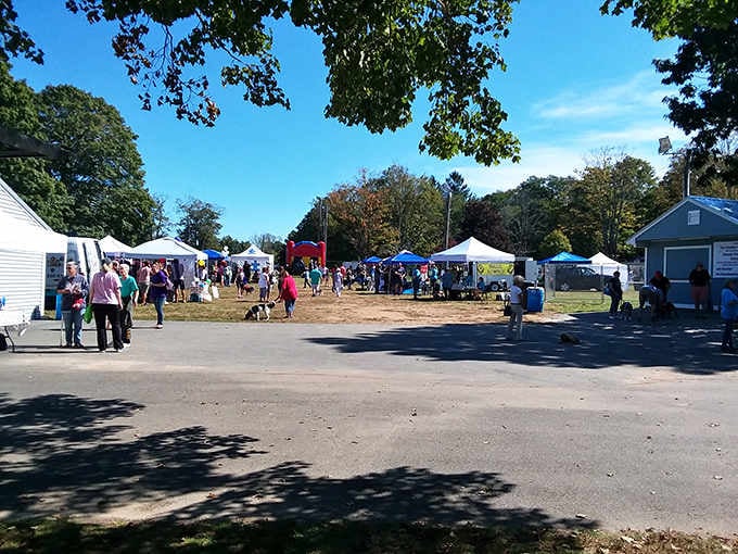 Community gatherings that prove the best entertainment doesn't require WiFi, just good company and local vendors.