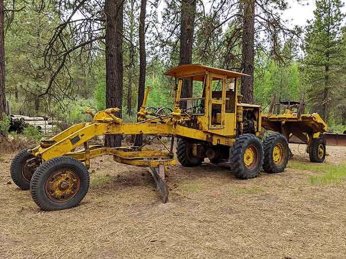 Yellow Caterpillar equipment that carved roads through wilderness where none dared exist before modern machinery.