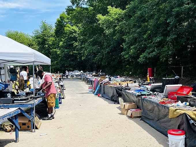 The outdoor swap meet sprawls under open sky, offering endless possibilities for patient treasure seekers.