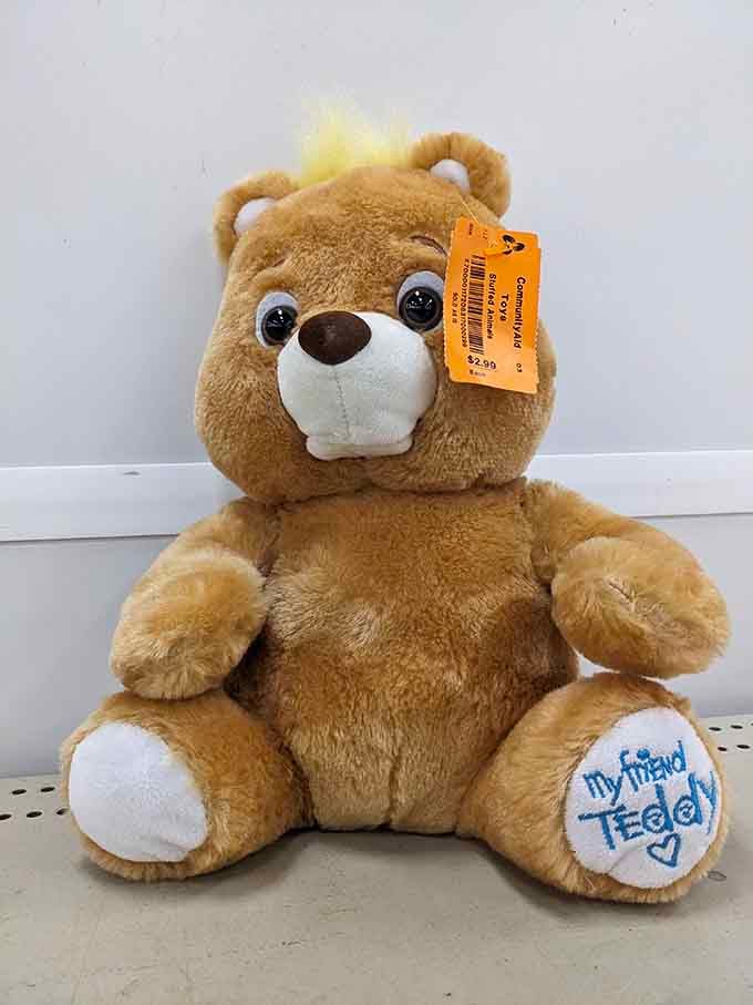 This teddy bear's looking for a friend, and at these prices, resistance is futile.