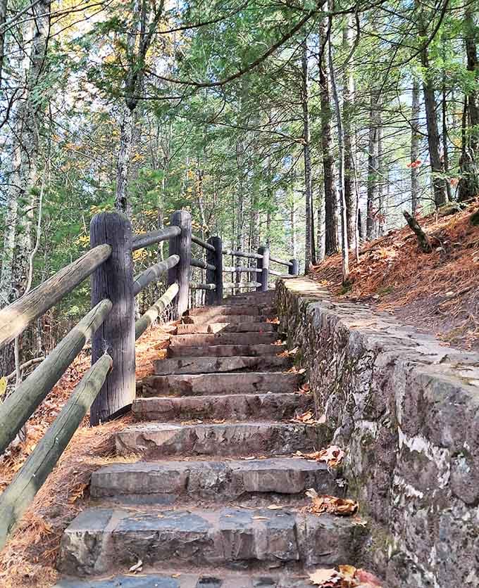 Stone steps carved into the gorge, because apparently someone thought "easy access" meant "let's add some adventure."