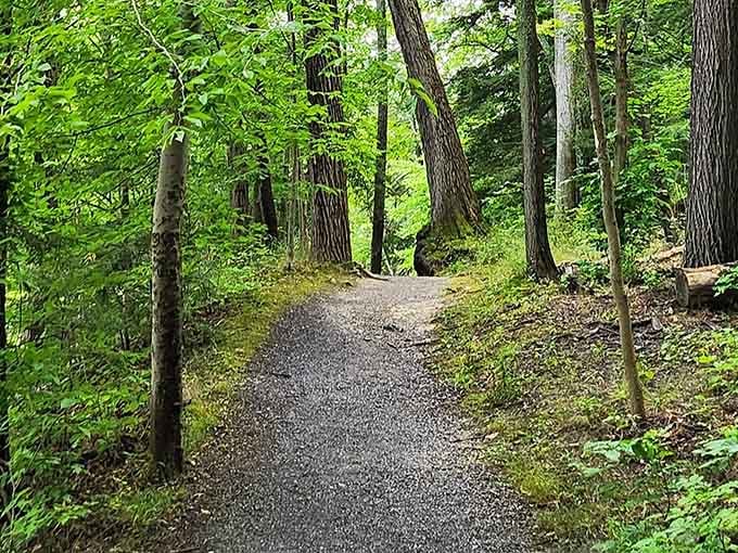 Gravel paths wind through sun-dappled forest, inviting exploration without requiring a machete or survival skills.