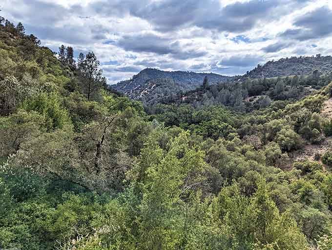 Rolling hills covered in oak trees remind you why people write songs about California's natural beauty.