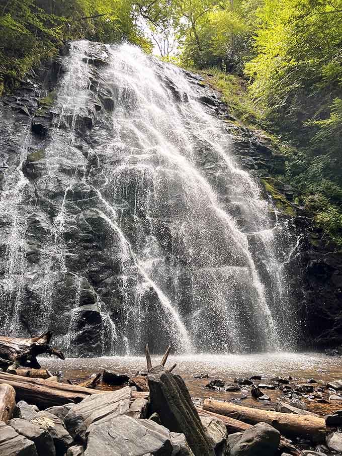 The falls cascade down in ribbons of white water that somehow look both powerful and delicate at once.