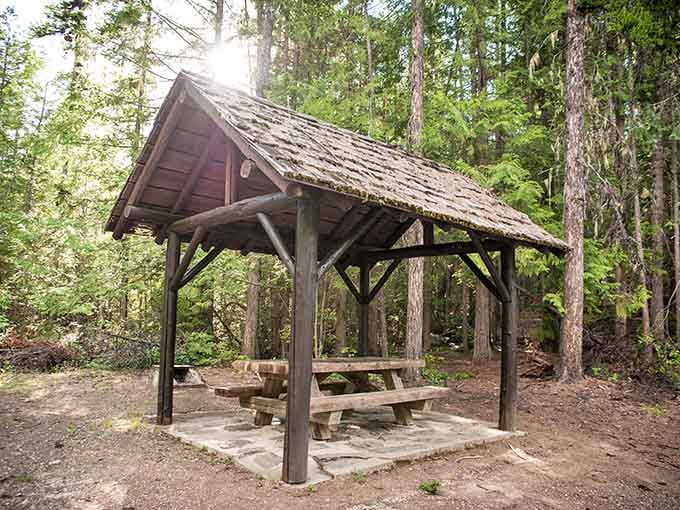 Perfect spot for lunch surrounded by ancient forest, where your sandwich tastes better than it has any right to.