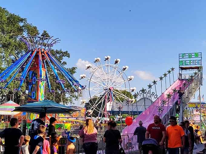 Under a bright blue sky, the fairgrounds burst with colorful rides, cheerful crowds, and all the magic of carnival day.