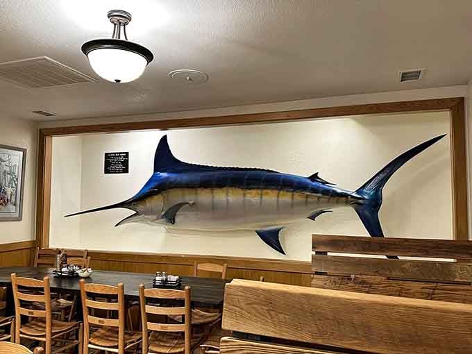 A mounted blue marlin commands respect from every booth in the dining room, as it should.