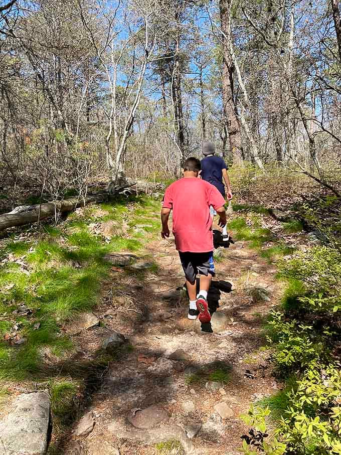 Young explorers tackle the trails with endless energy, making you wonder where they hide their secret battery packs.