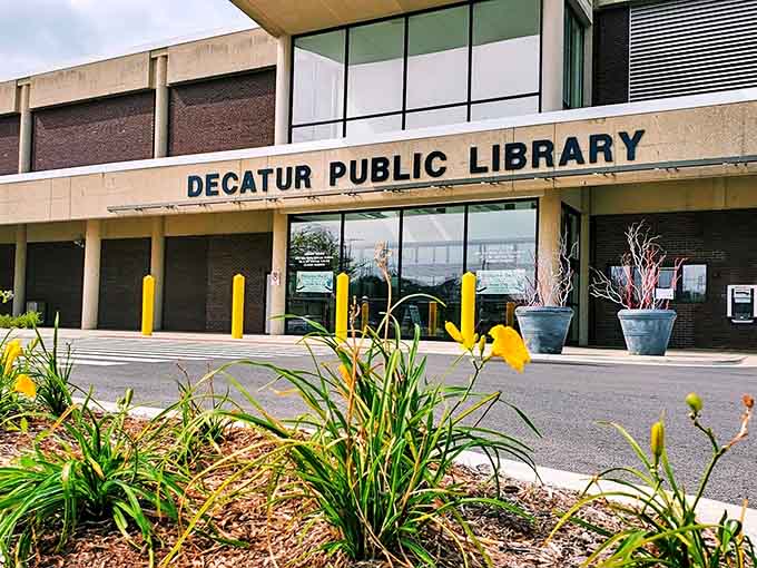 The Decatur Public Library welcomes everyone without judgment, late fees, or pretension about what counts as reading.