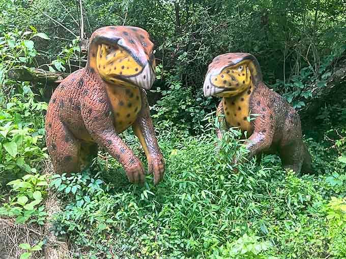 These colorful characters look like they're mid-gossip session, probably discussing which herbivore tastes best with a side of ferns.