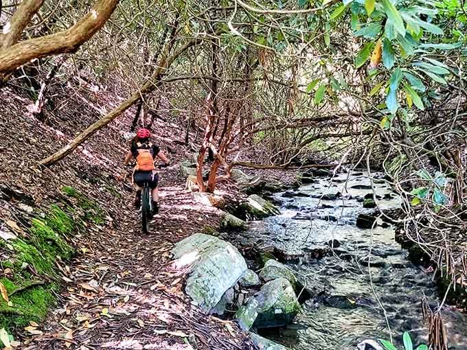 Mountain bikers navigate trails alongside babbling brooks in nature's version of the perfect obstacle course.