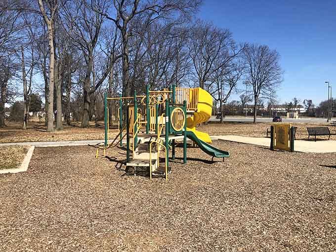 Chesterwood Park's playground equipment sees actual use because families here can afford kids and rent simultaneously.