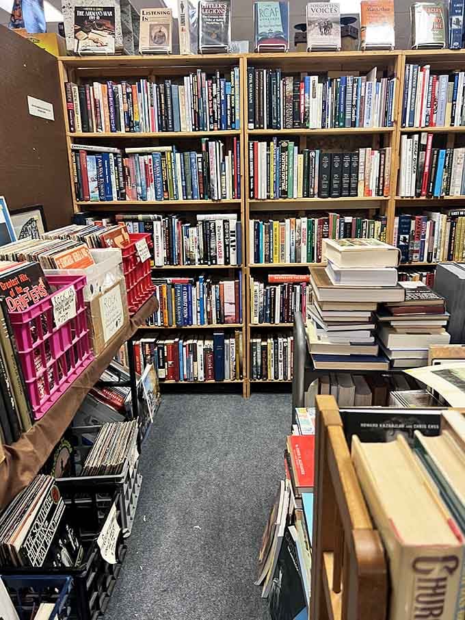 Book lovers can browse shelves packed with stories waiting to be rediscovered by new readers.