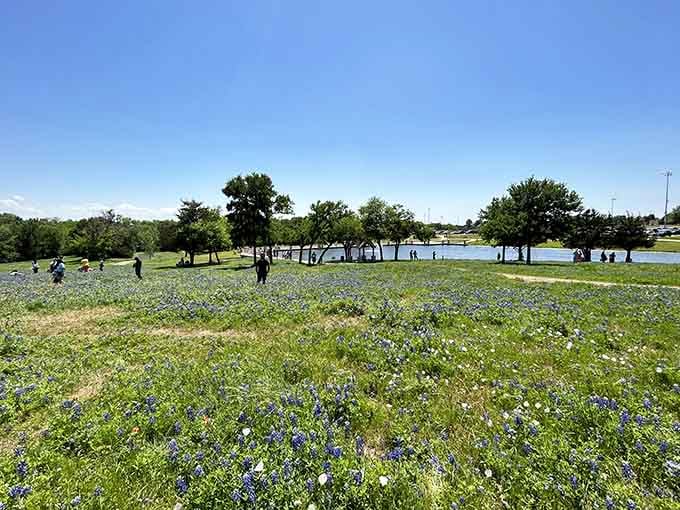 Families wander through nature's gallery where admission is free and the views never disappoint or get old.