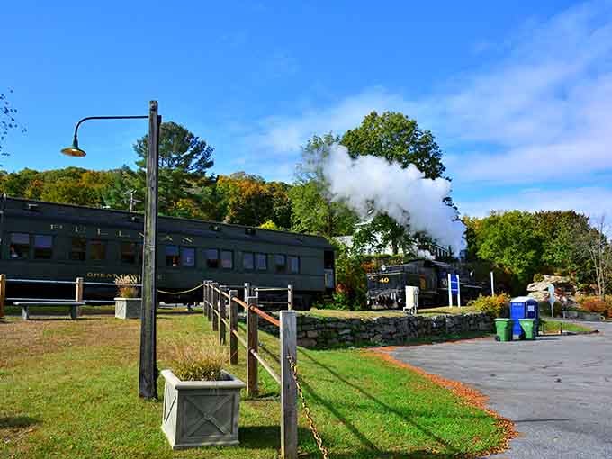 The polished wood and period lighting create an atmosphere that makes you want to dress up just to match the surroundings.