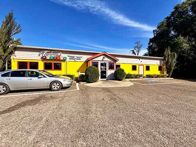 Thelma's Kitchen sits ready to serve home cooking that tastes like somebody's grandmother made it lovingly.