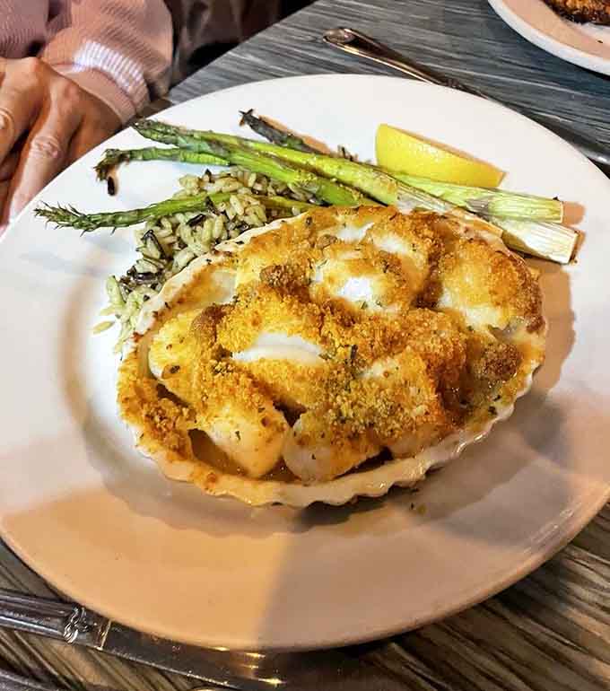Baked scallops with golden breadcrumb topping and wild rice, showcasing local seafood without unnecessary fuss or pretension.