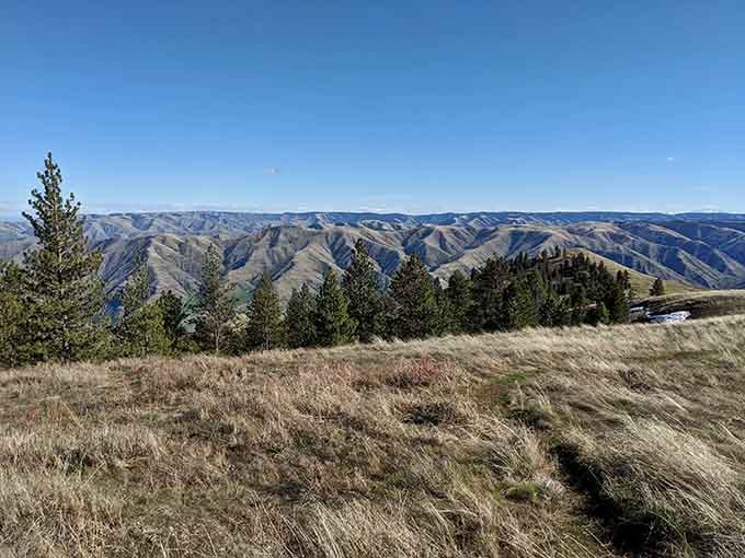 Mountains rolling into the distance like frozen waves, proving geology has excellent taste in landscapes.