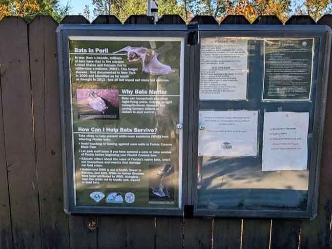 Educational displays teach you why bats deserve respect, especially considering they eat their weight in mosquitoes nightly here.