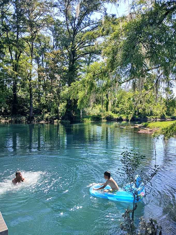 Swimming in spring-fed water surrounded by trees beats any hotel pool you've ever experienced, guaranteed.