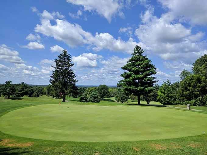 That golf green looks smoother than a Frank Sinatra ballad, with mature trees standing guard like nature's gallery.