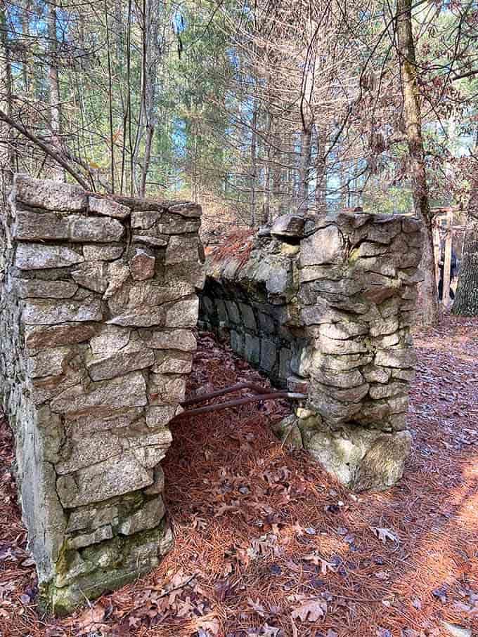 Stone ruins whisper of earlier inhabitants, adding historical intrigue to your woodland wanderings and photo opportunities.