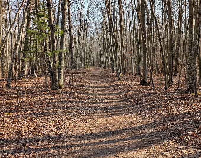 The trail ahead promises adventure without the crowds, just you and the Michigan wilderness connecting.