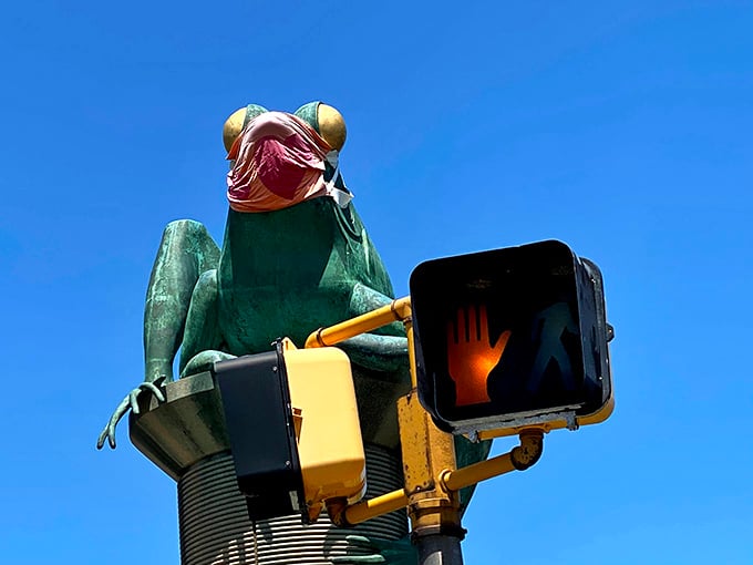 When frogs share space with stop signs, you know the town has its priorities delightfully scrambled.