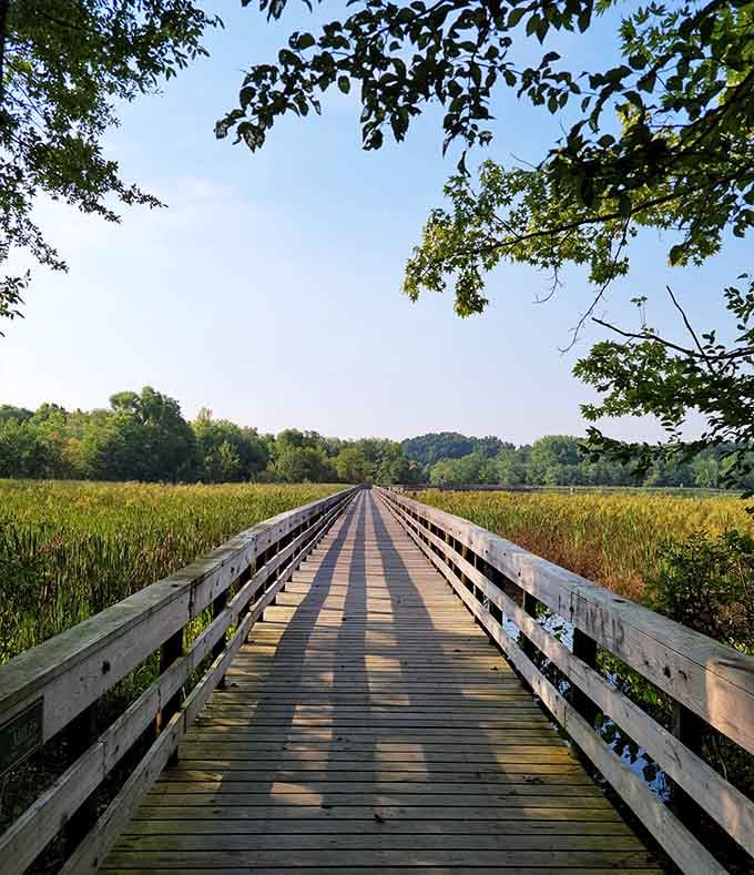 James D. Martin Wildlife Park's boardwalk stretches into nature like a wooden invitation to disconnect from your phone.