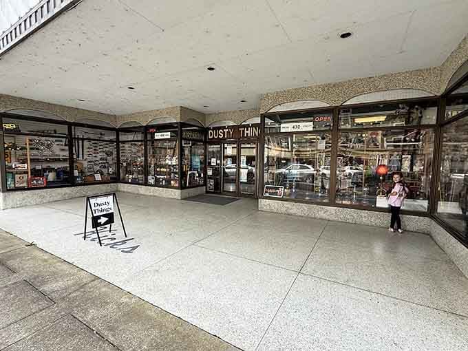 Local shops like this prove small-town retail still exists where owners remember faces instead of just tracking your data.
