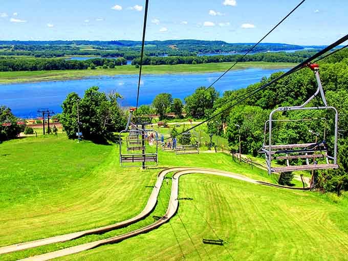Chestnut Mountain's alpine slide offers summer thrills with views that'll make your Instagram followers jealous.